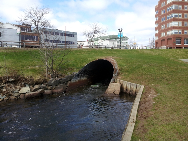 A River Runs Under it: Daylighting Sawmill River - Spacing Atlantic ...