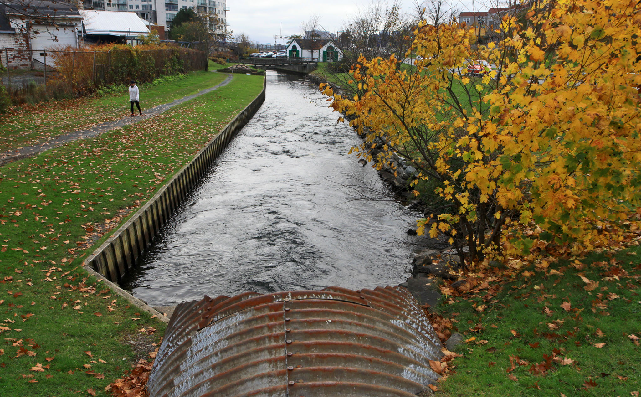 Daylighting Sawmill River: New Hope - Spacing Atlantic