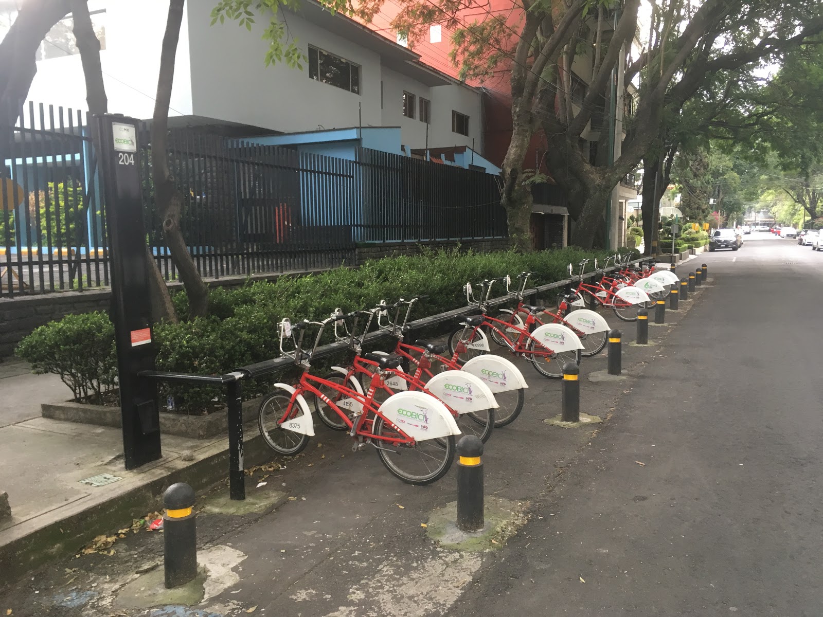 Sustainability infrastructure and the pursuit of global city status: a ...