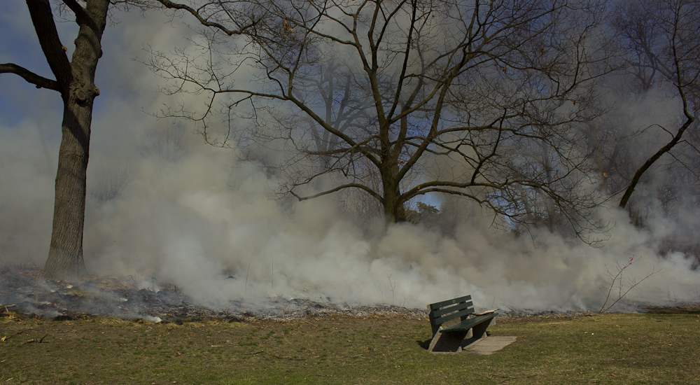 High Park Burn - Spacing National | Spacing National