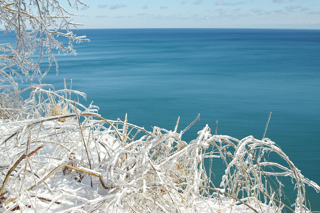 Guildwood - Spacing National | Spacing National