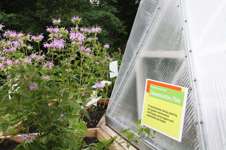 An interview with Martin Buffam, designer of Ottawa’s first Biodome ...