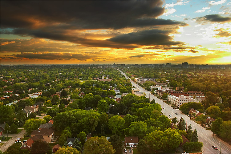 EVENTS: Urban forestry, Toronto's competitiveness, the Post-Oil City ...