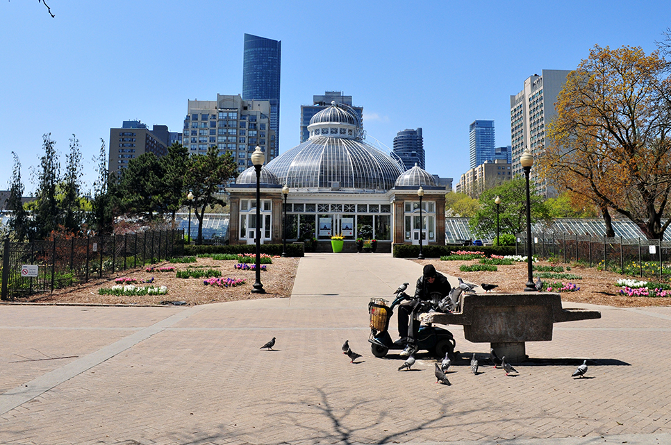 Design for reconciliation: The Indigenous Place Making Council reclaims ...