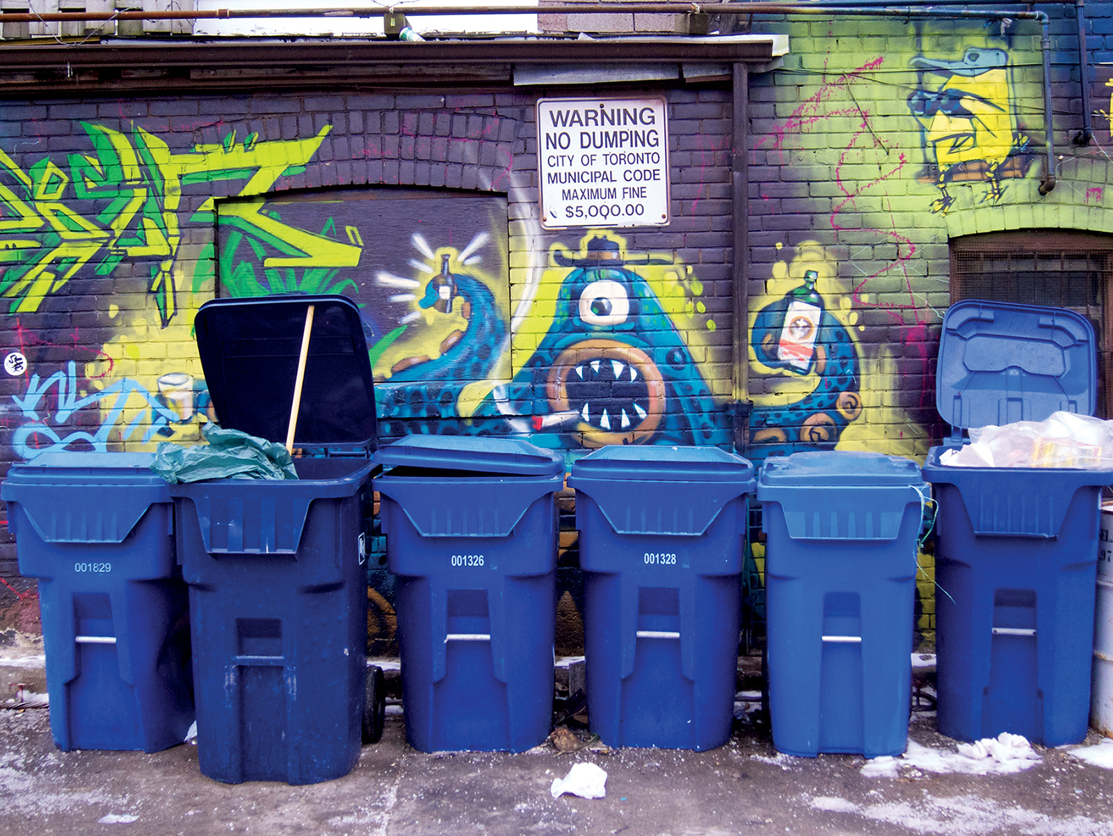 RECYCLING WOES: Toronto struggles to adapt to increased contamination ...