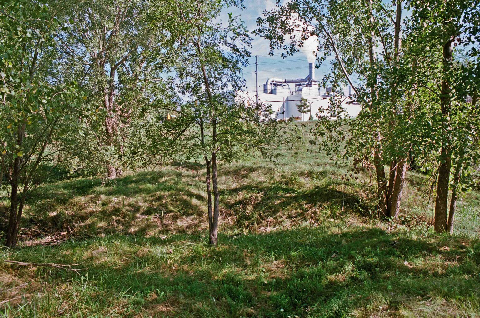 Weston Road as my main street - Spacing Toronto