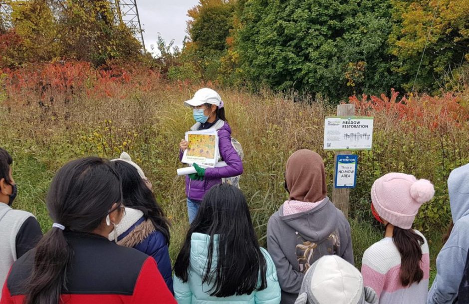 The Meadoway: Realizing the power of connectivity - Spacing Toronto ...