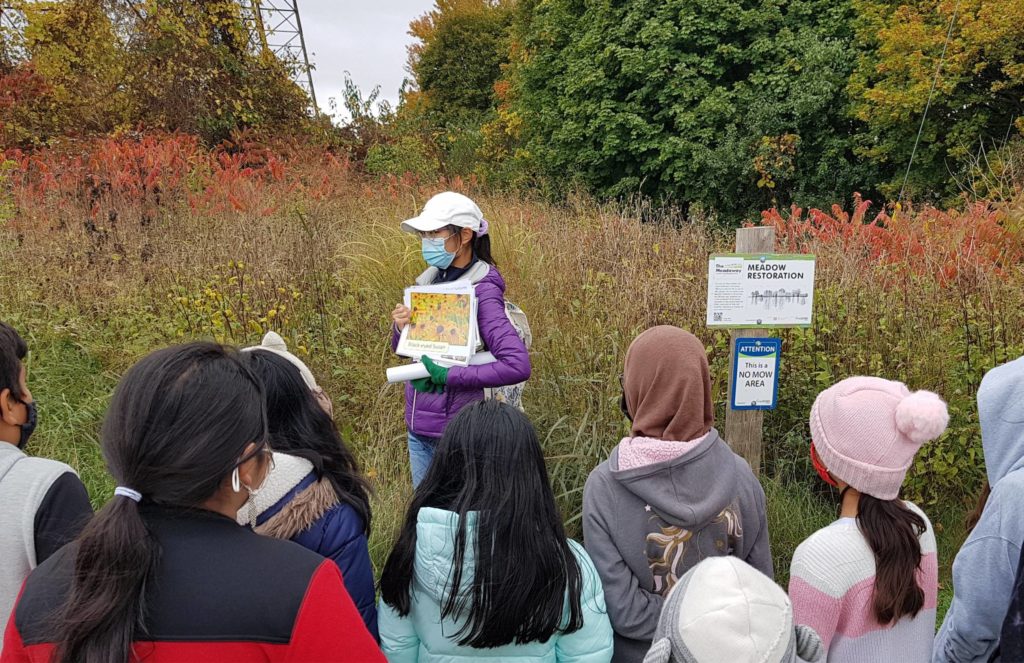 The Meadoway: Realizing the power of connectivity - Spacing Toronto ...